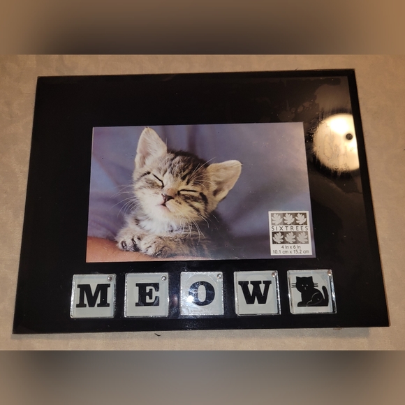 Cat | Picture Frame Cat Frames Black Glass Glass Photo Frames Pets Pet ...